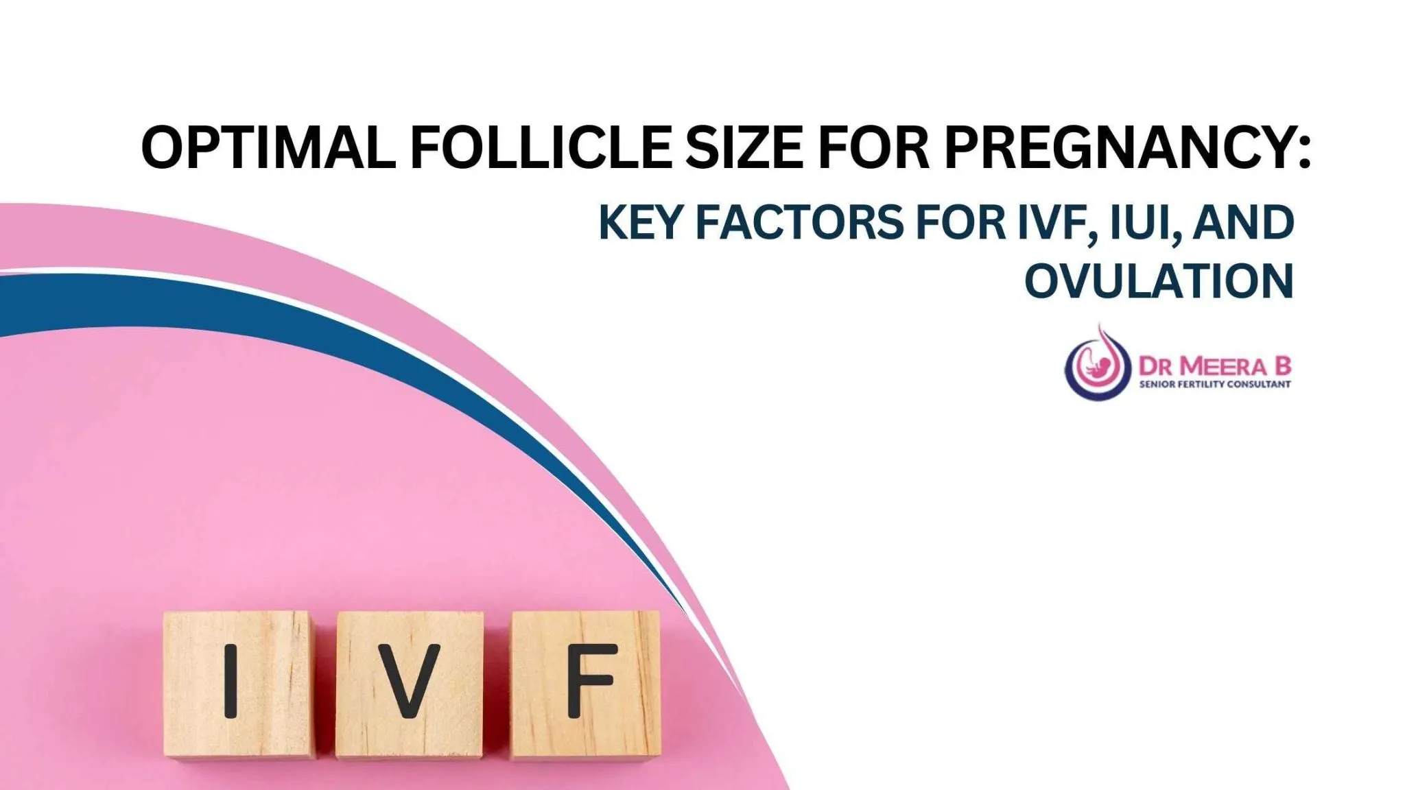 Optimal Follicle Size for Fertilization: Key Factors for Ovulation, IVF ...
